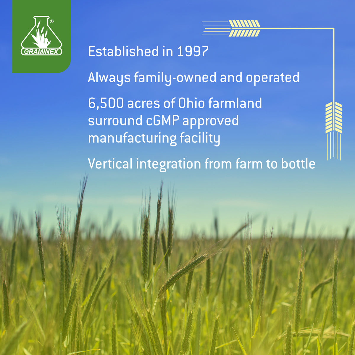 Prostanex® Prostate and Virility Support with G63® Flower Pollen ...